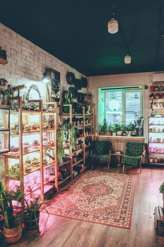 Hediyelik eşya mağazaları Green mosaic, Vladivostok, foto