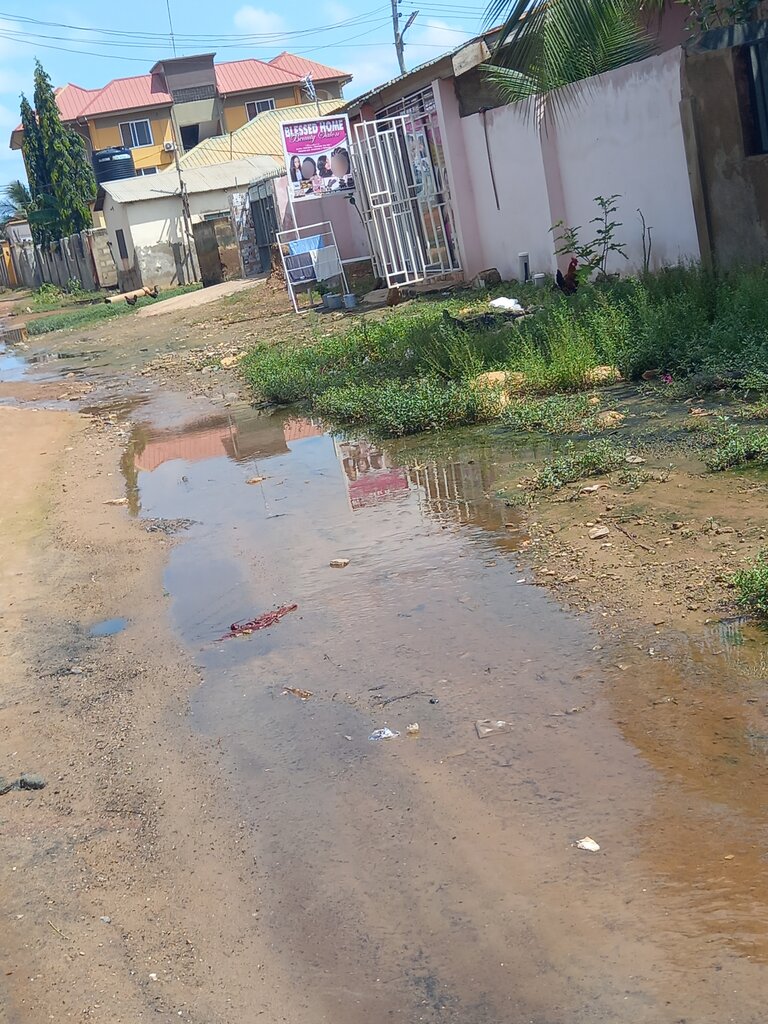 Güzellik salonu Blessed home, Dünya, foto