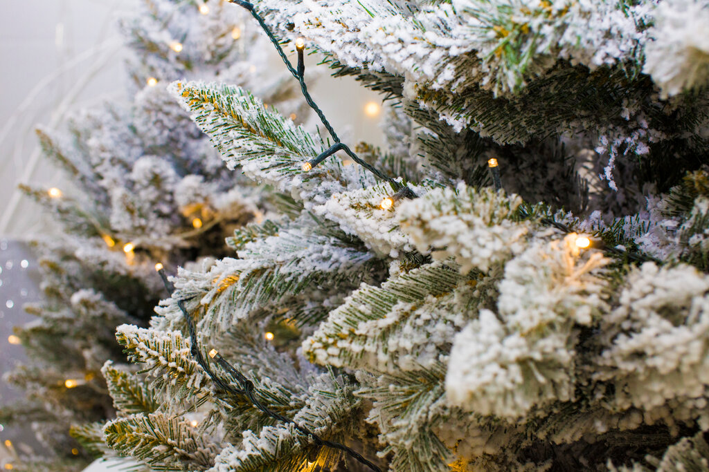 Profesyonel fotoğraf stüdyosu Волшебство, Dmitrov, foto