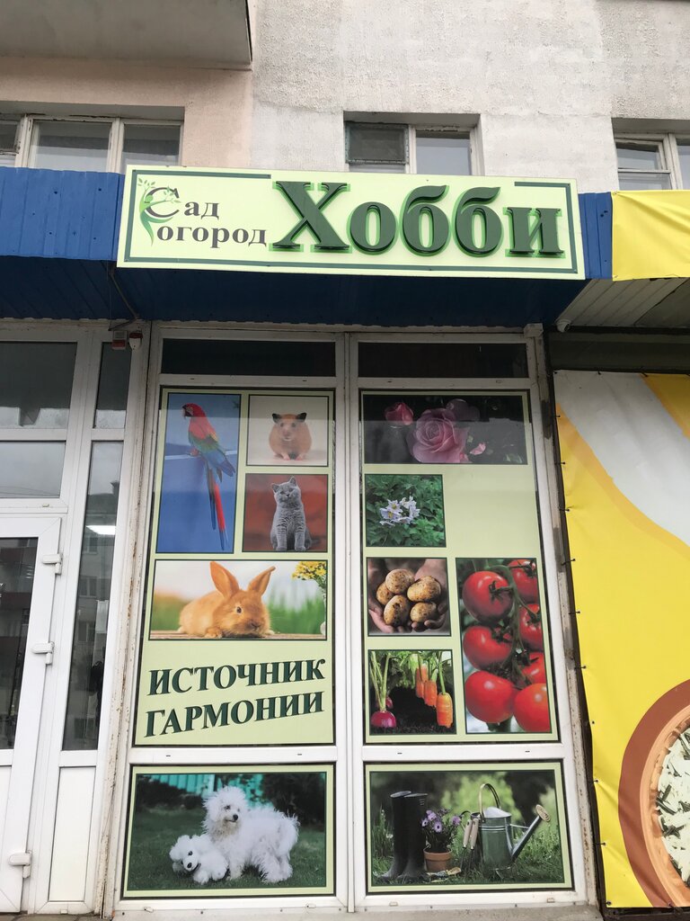 Tohum satan yerler Khobbi magazin ChTUP Golubkova, Orsha, foto