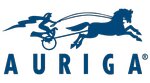 Auriga (Budyonnovskiy Avenue No:9/46), yazılım firmaları  Rostov‑na‑Donu'dan