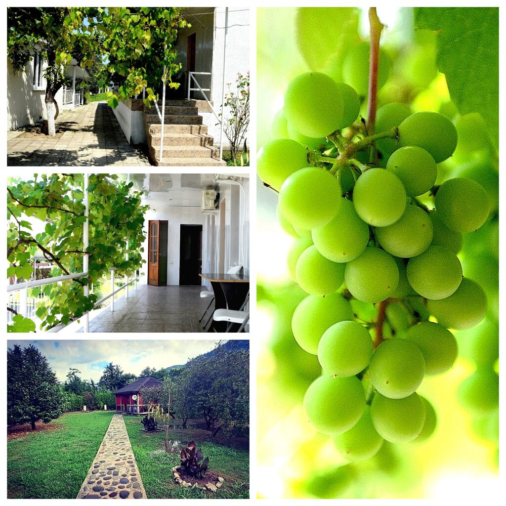 Resort oteller, tesisler Гостевой Дом, Gagra, foto