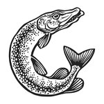 Fishing Accessories (Fermskoe Highway No:41к7), balıkçılık ekipman firmaları  Saint‑Petersburg'dan
