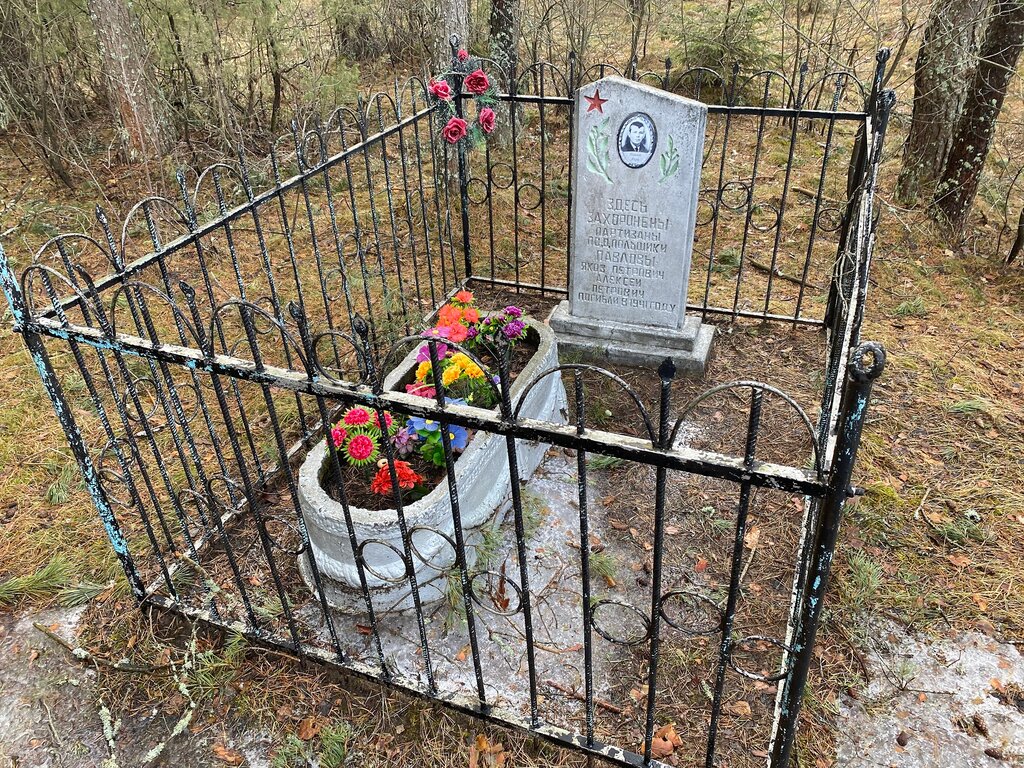 Anıt, heykel Братская могила партизан-подпольщиков, Pskovskaya oblastı, foto