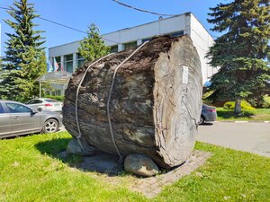 Полено Одинцово (Moscow Region, Odintsovo, Bakovskaya ulitsa), park, sokak heykeli  Odintsovo'dan