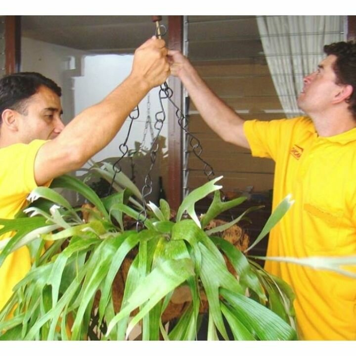 Evden eve nakliye Redicar, Medellin, foto