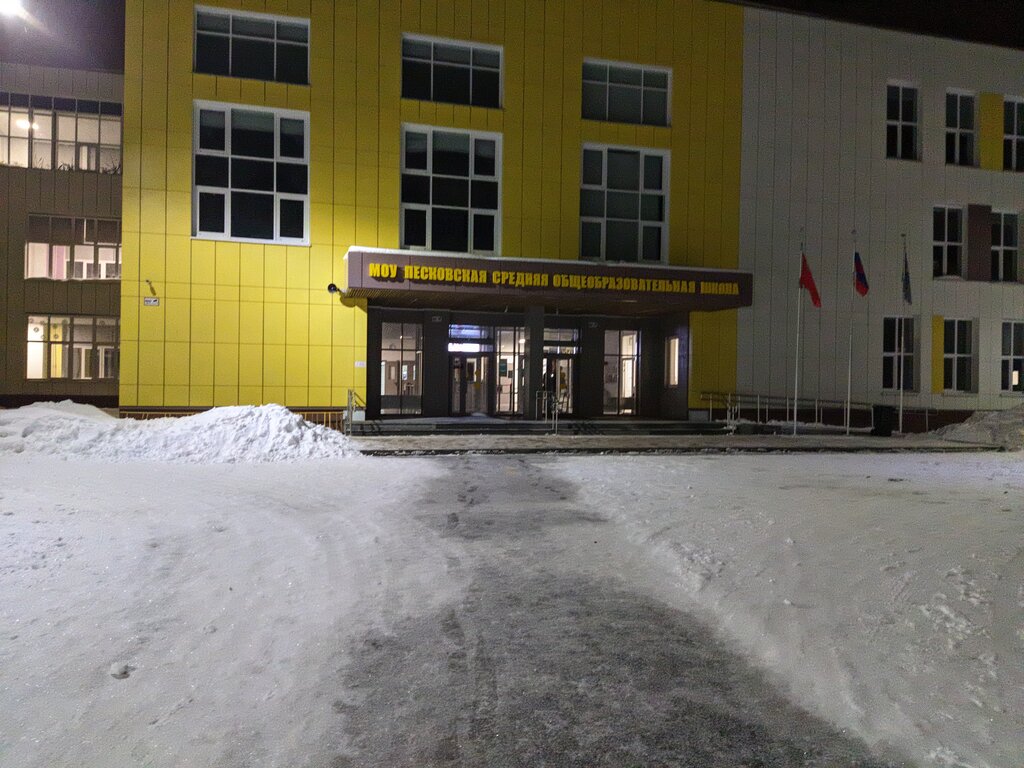 Ortaokul Shkola, Moskova ve Moskovskaya oblastı, foto