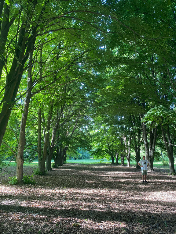 Kültür ve eğlence parkları Дендропарк, Zernograd, foto