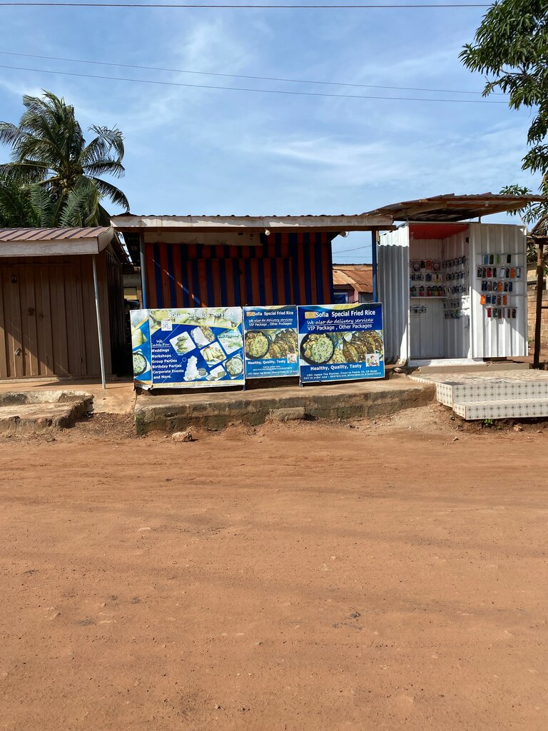 Fast food Sofia Special Fried Rice, Dünya, foto