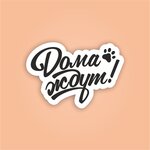 Doma zhdut! (vulica Mahnovicha No:36), petshop  Brest'ten