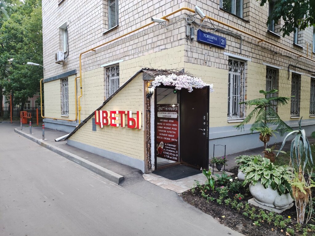 Çiçekçiler Ваша цветомания, Moskova, foto