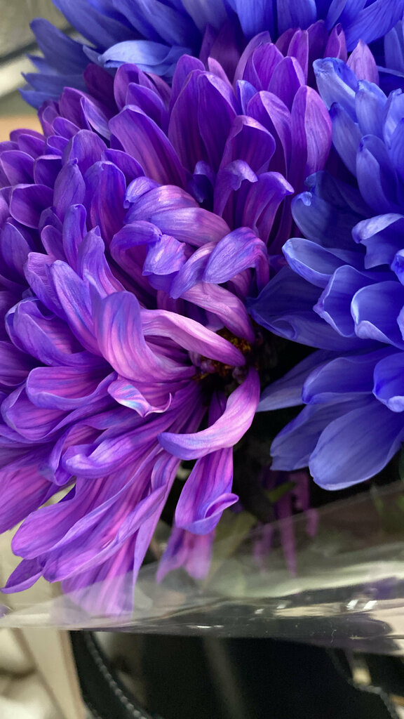 Çiçekçiler Цветы, Moskova, foto