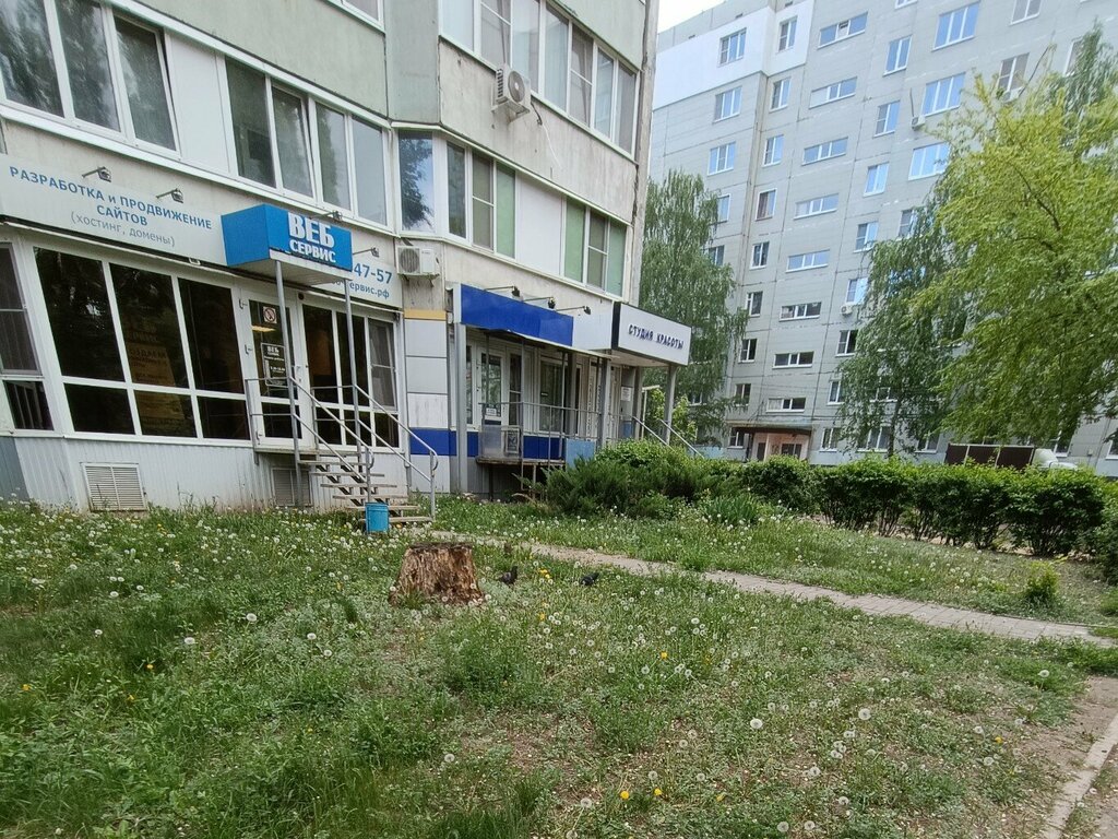 Hosting firmaları Studiya Web-Servis, Voronej, foto