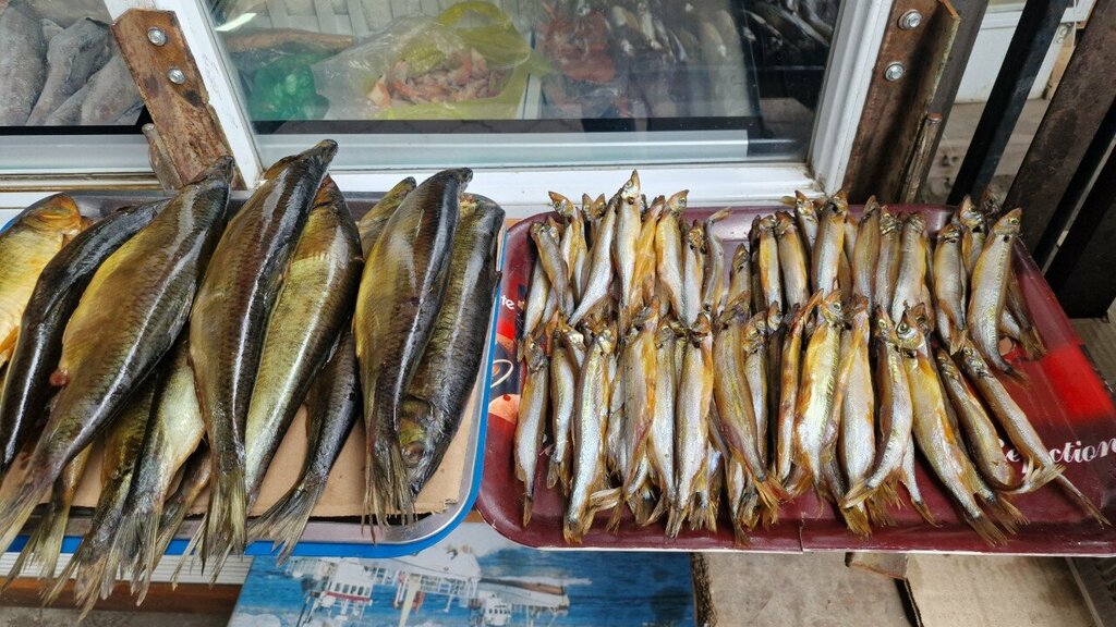 Balık ve deniz ürünleri Aul-Bereke, Fish Pavilion, Taraz, foto