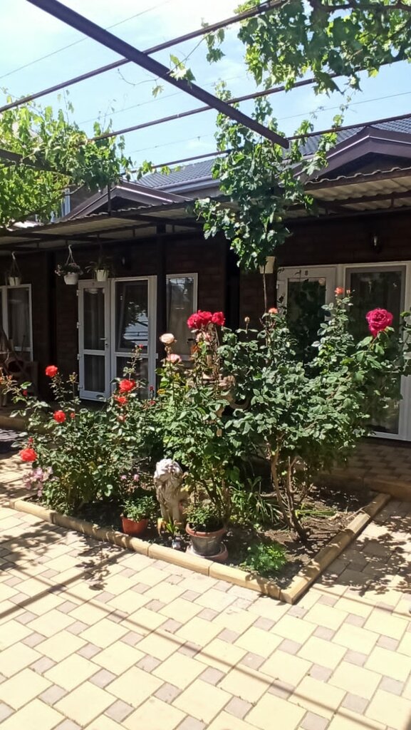 Konuk evi Breeze&Chillout, Krasnodarski krayı, foto