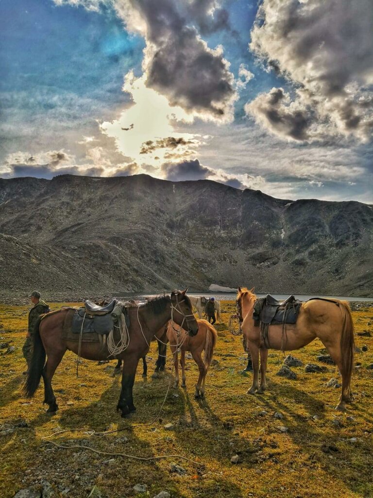 Turizm acenteleri Туркомплекс Юрта Кочевника, Altay Cumhuriyeti, foto