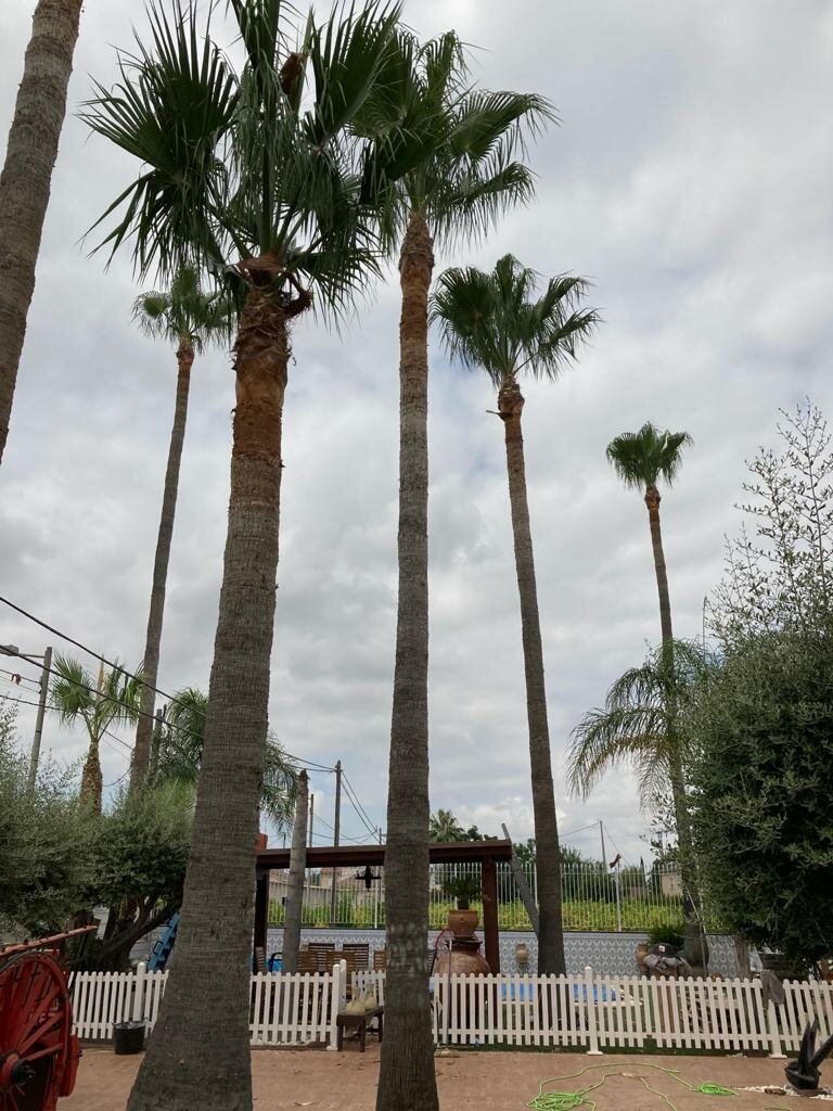 Bahçe ekipmanları ve teknolojileri Jardines y piscinas Iris, Murcia, foto