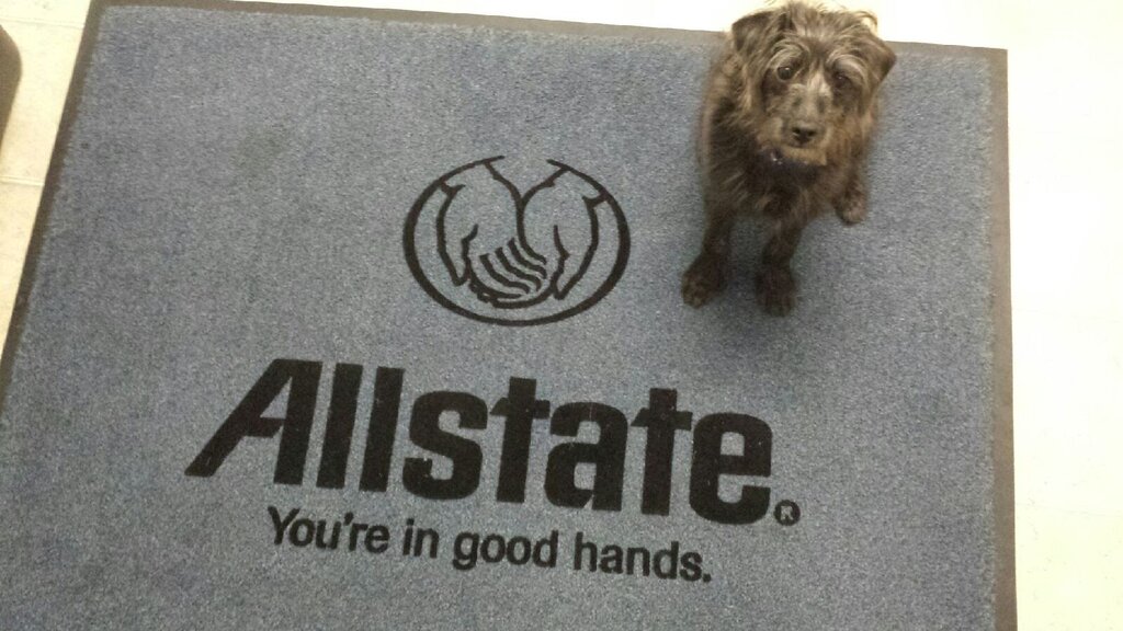 Sigorta şirketleri Renee Essary: Allstate Insurance, O'Fallon, foto