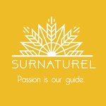 Surnaturel (Fès), web tasarım hizmetleri  Fes'ten