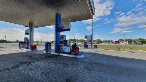 Benzin istasyonu Gazpromneft, Novosibirskaya oblastı, foto