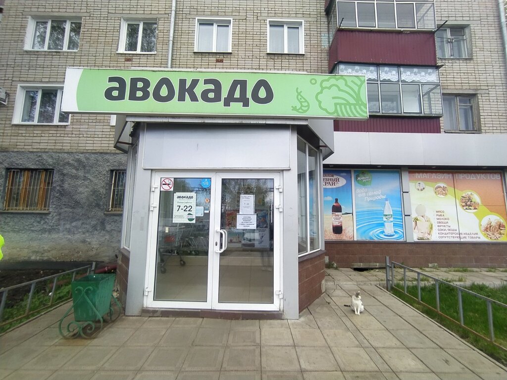 Market Авокадо, Saransk, foto