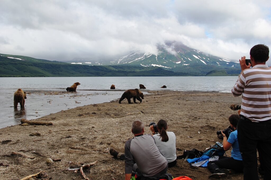 Seyahat acenteleri Bear Paradise, Kamçatski krayı, foto