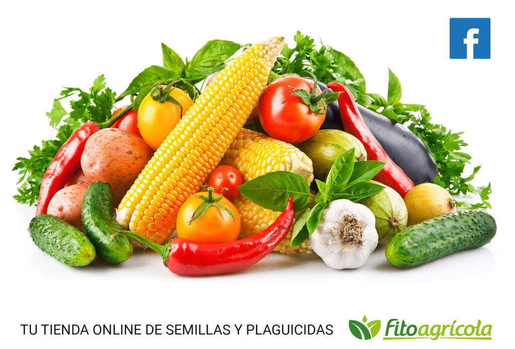 Kimyasal üretim firmaları Fito Agrícola, Tienda Online de Semillas Y Plaguicidas, Castellon de la Plana, foto