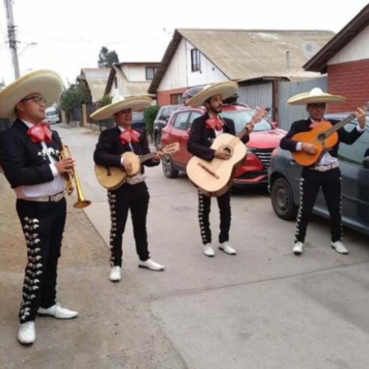 Nakliye firmaları Mariachi Show Imperial, Coquimbo, foto