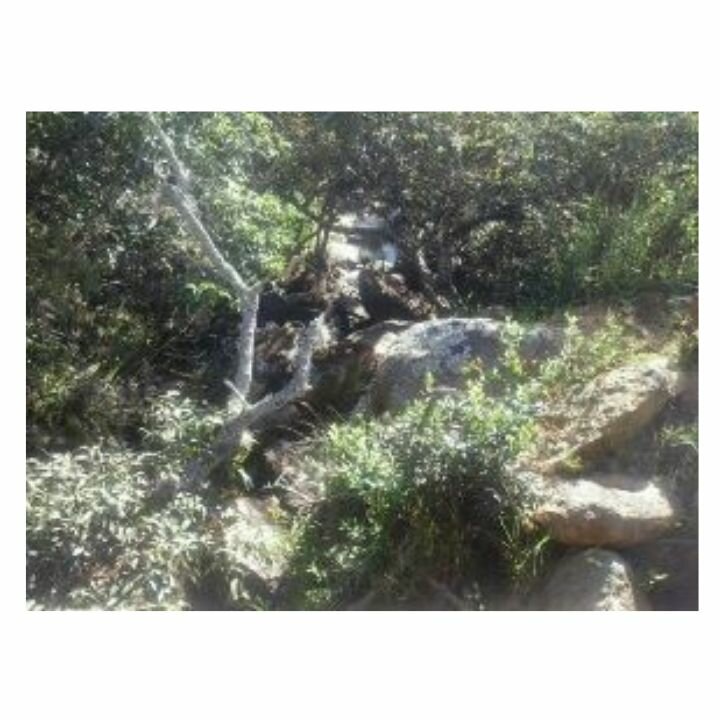 Seyahat acenteleri Synca Muysca Trekking, , foto