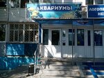 Akvasalon (prospekt Mendeleyeva No:23, mikrorayon Zaozyorny), akvaryumlar  Omsk'tan