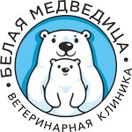 White bear (Panamarenki Street No:35А), veteriner klinikleri  Minsk'ten