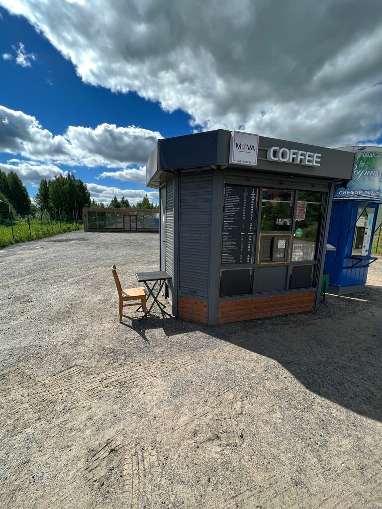 Al götür kahve Lazy coffee Mova, Saint‑Petersburg ve Leningradskaya oblastı, foto