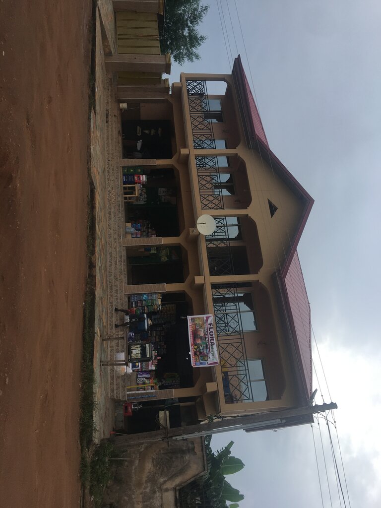 Dondurulmuş gıda firmaları Cold store, Dünya, foto