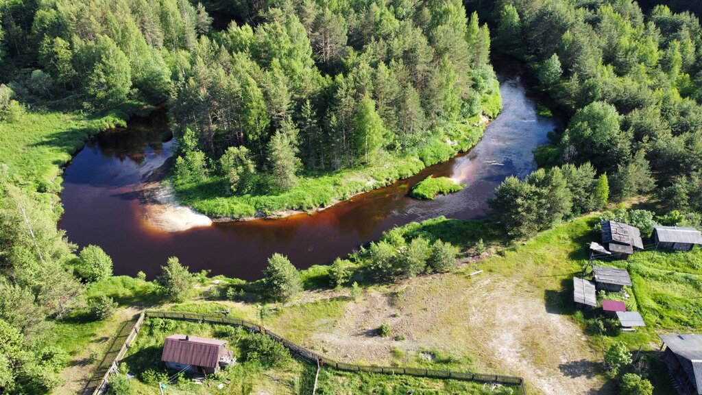 Piknik alanı Место для пикника, Kostromskaya oblastı, foto