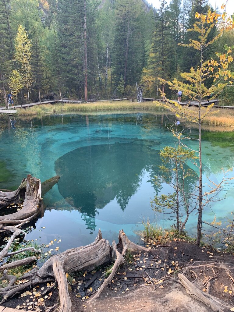 Turizm acenteleri Туркомплекс Юрта Кочевника, Altay Cumhuriyeti, foto