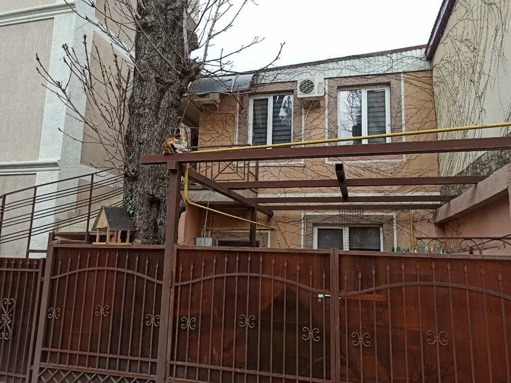 Otel Sfa, Gelencik, foto