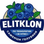 Elitklon (Viertaliotnaja vulica No:22), fidan yetiştiriciliği  Kobrin'den