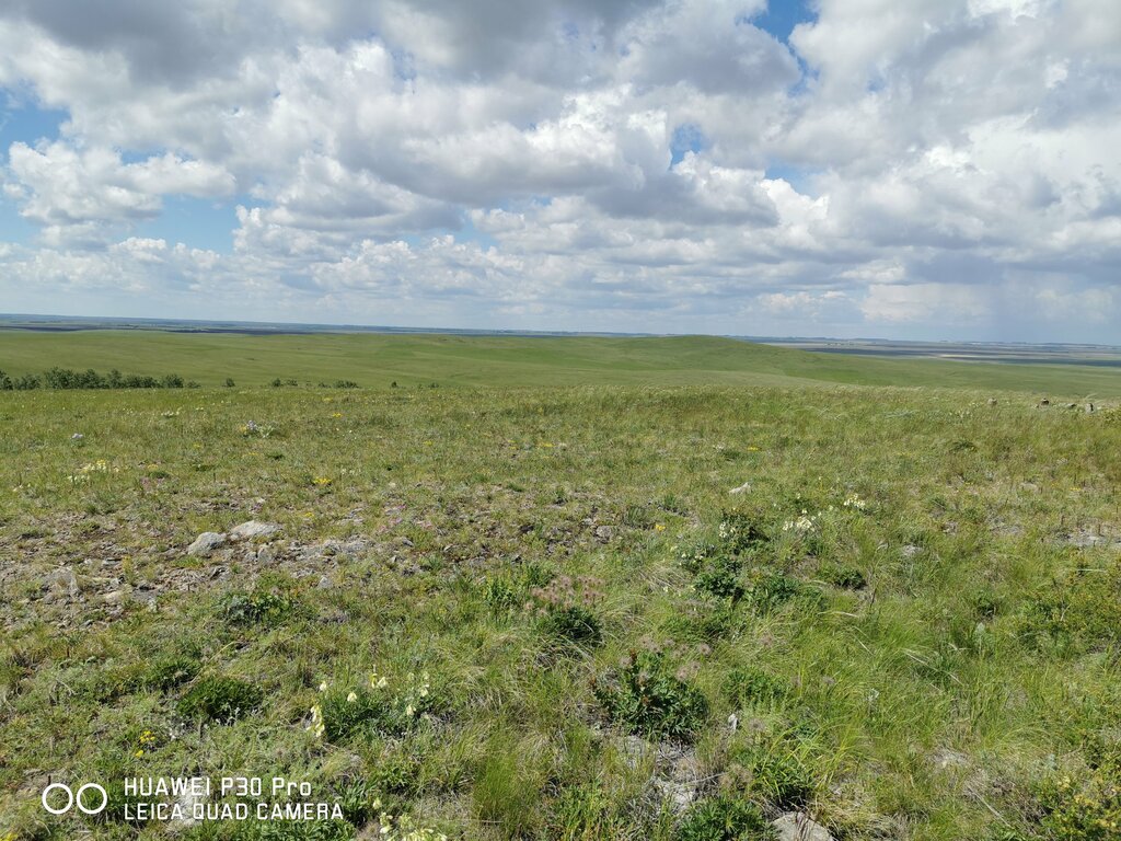 Dağ zirvesi Гора Тумачка 380 метров, Çeliabinskaya oblastı, foto