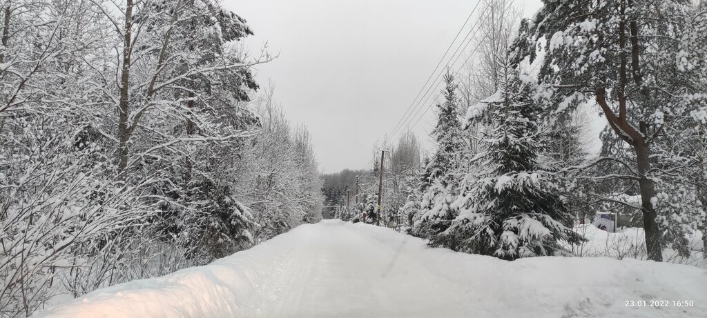 Bahçecilik dernekleri ve kuruluşları СНТ Радуга, Saint‑Petersburg ve Leningradskaya oblastı, foto