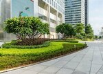 Al Sidra Landscaping (The Atrium Building, Mankhool, Bur Dubai, Dubai), çevre peyzaj hizmetleri  Dubai'den