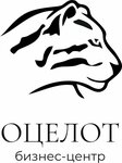 Ocelot (Koli Tomchaka Street No:28В), i̇ş merkezi  Saint‑Petersburg'dan