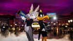 Hollywood Trattoria, italian restaurant (3, Sheikh Khalifa Bin Zayed Al Nahyan Highway Street, Yas Island South, Yas Island, Abu Dhabi), kafe