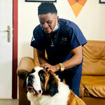 Professional Veterinary Clinic (15, Festival Boulevard, Dubai Festival City, Ras Al Khor, Dubai), veteriner klinikleri  Dubai'den