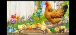 Комбикорм (Bravarskaya ulitsa No:2Бс3, Schyolkovo), petshop  Şçolkovo'dan