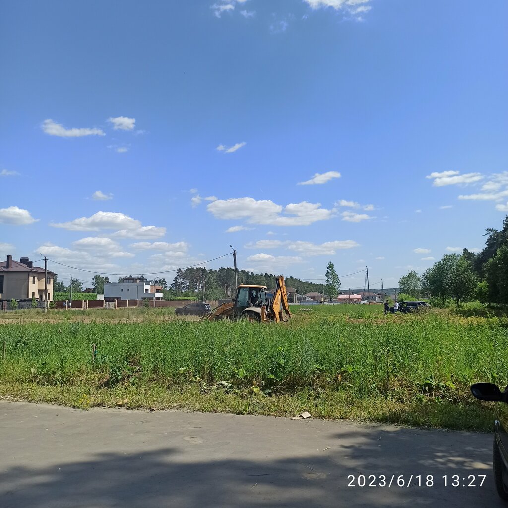 Market Avokado, Moskova ve Moskovskaya oblastı, foto