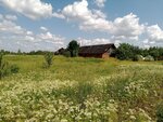 Конюшня (Pskov Region, Opochetsky District, derevnya Purshevo), at ve binicilik kulüpleri  Pskovskaya oblastından