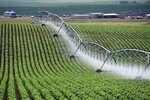 Astrachem Agricultural (13, Al Mantaqah As Sina'iyah 9 Street, Sanaiya, Al Ain, Abu Dhabi), tarım makineleri, ekipmanlar