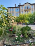 Astra (Фиолентовское шоссе No:92), sağlık turizmi  Sevastopol'dan