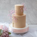 Тортик или торт (Lenina Avenue No:40), pasta, şekerleme ve tatlı  Yekaterinburg'dan