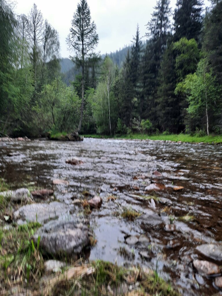 Tatil köyleri Отдых у речки, Altay Cumhuriyeti, foto